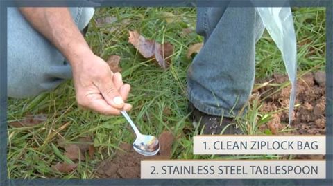 How to Collect Soil Samples the Right Way for a Garden Soil Test | The ...